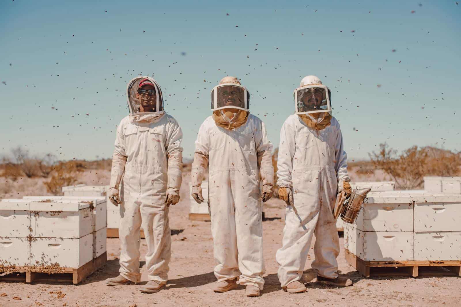 Wie du eine Fotoserie erstellst – Ideen, Themen und Beispiele.