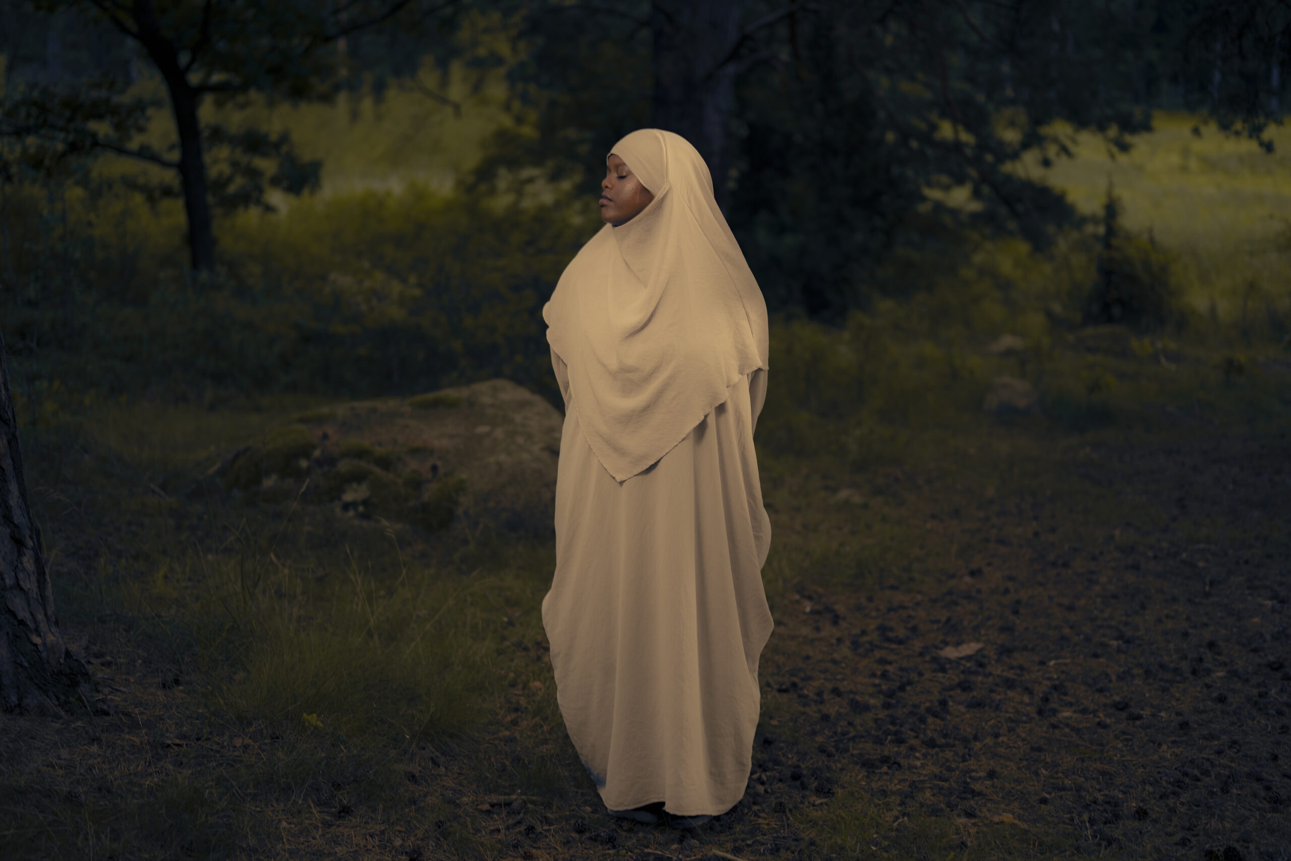 Ten reasons to study Visual Journalism – Visual Journalism and ...