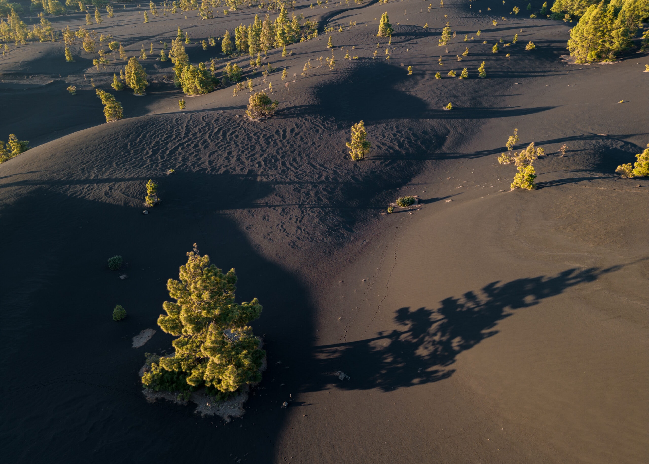 Constantin Rimpel: Bachelor – Visual Journalism and Documentary Photography